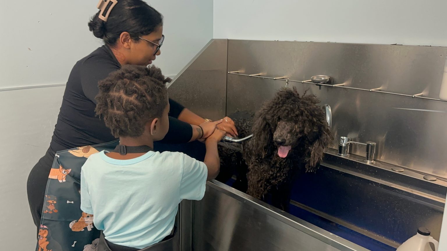 Paws for a Purpose: Grand Opening of Our Grooming Clinic - The Children ...
